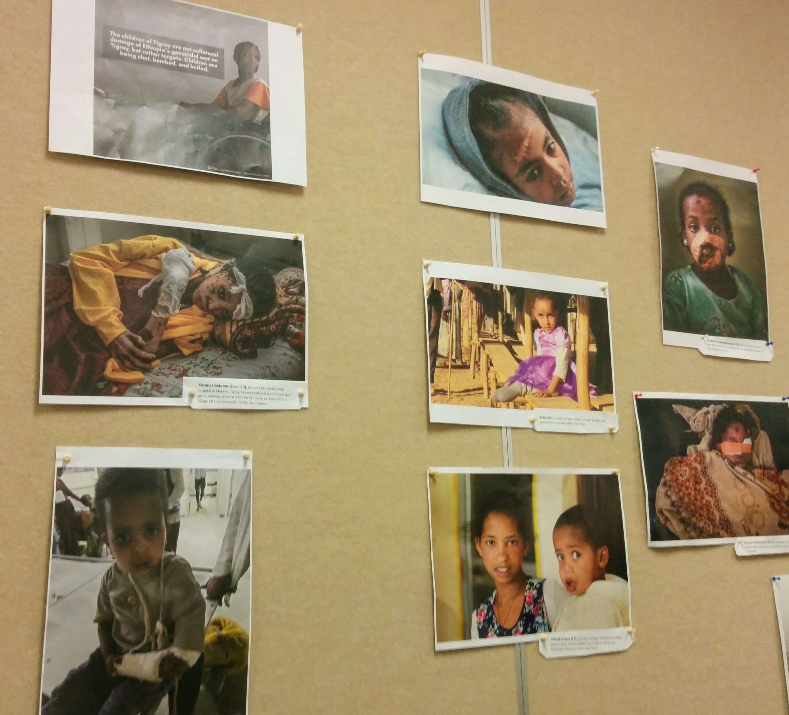 Tmnit Halefom Hailu on public panel discussing the ongoing war in ...